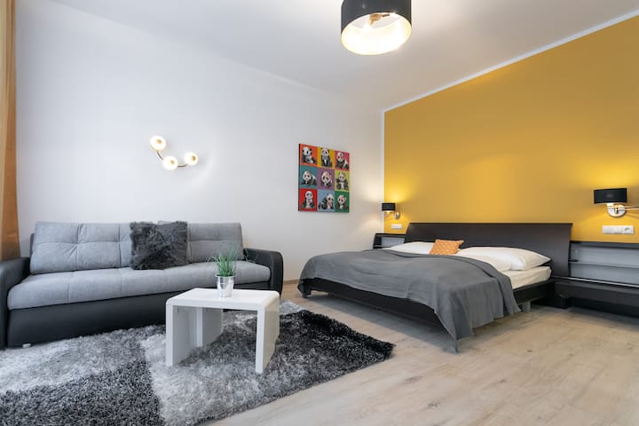 Central Studio-apartment With Good Connection, - Wien