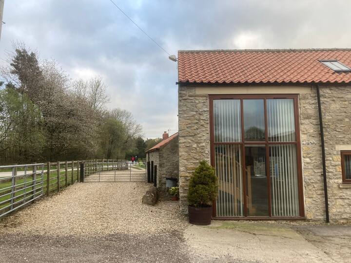 Dalby Forest Holiday Cottage - Thornton Dale
