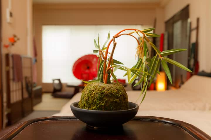 Traditional Beautiful House - Asakusa