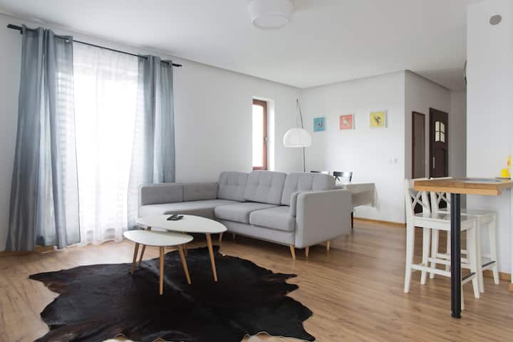 Sunny, Super Spacious And Quiet Apartment - 브로츠와프
