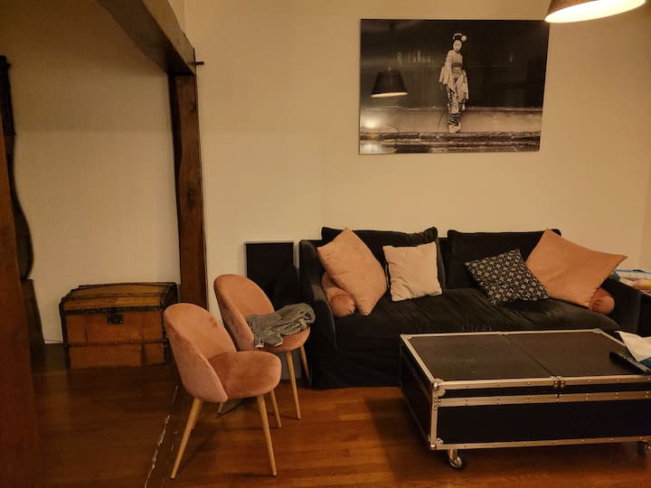 Chambre Sous Les Toits à Nancy - Nancy