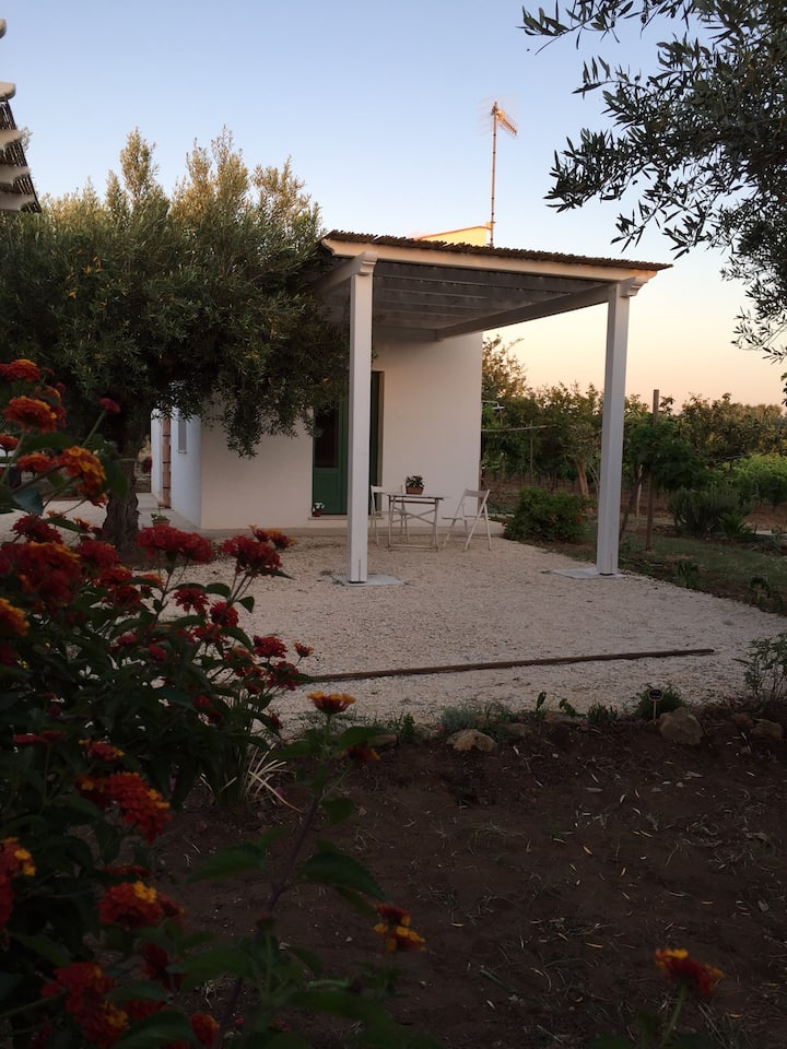 Holidays Cottage "Casa Bonera" - Sicily