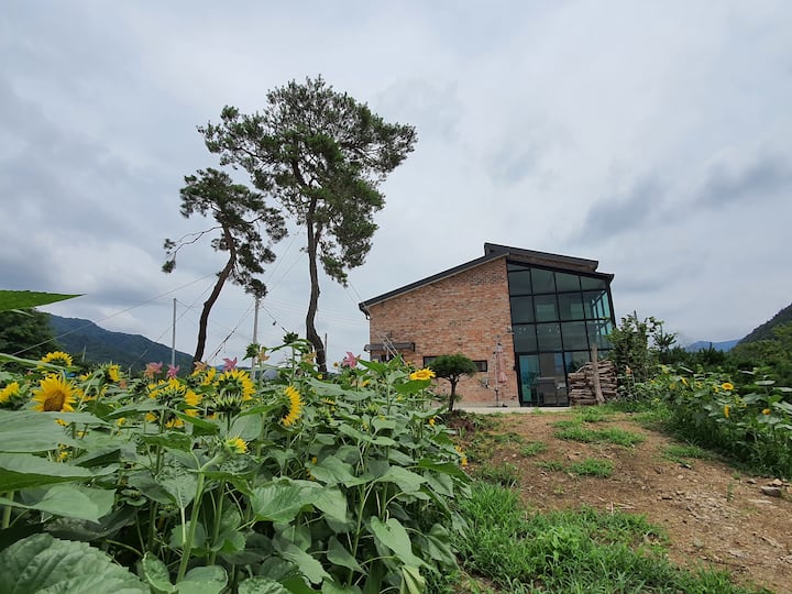 넓은단독2층주택이고 내장산들어가는길목에위치한 나무206펜션입니다ㆍ목공방과함께운영중입니다 - Gwangju