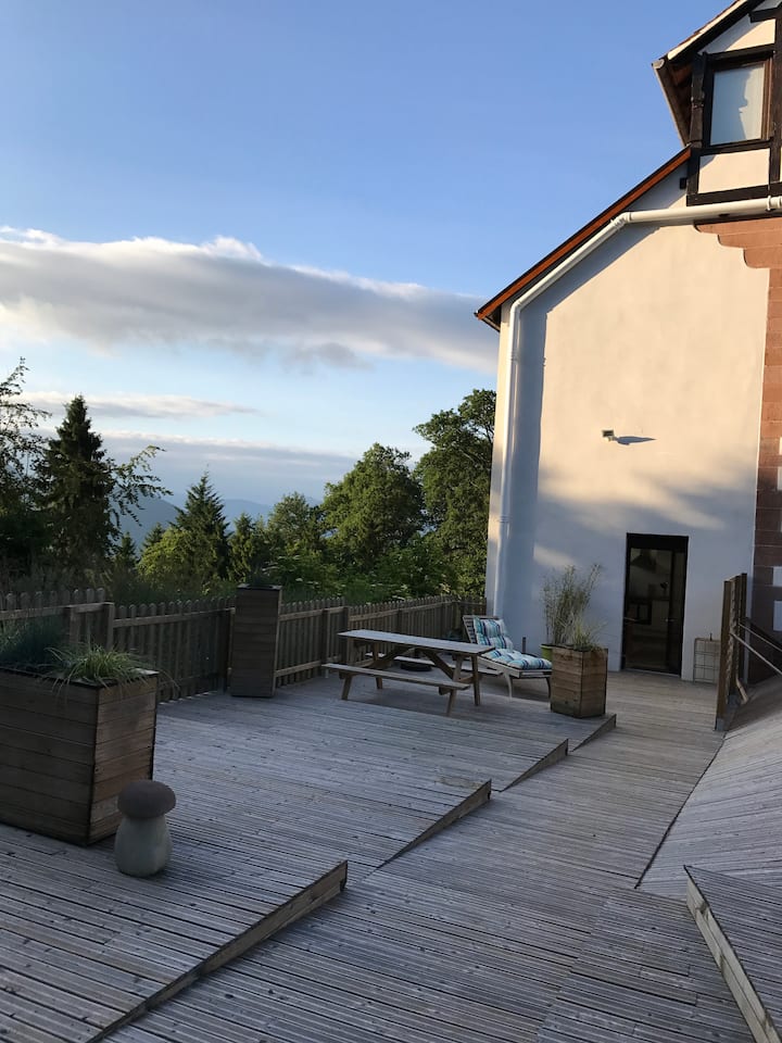 La Libellule - Appt Avec Grande Terrasse Et Vue - Riquewihr