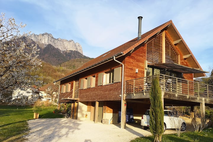 Villa Proche Lac D'annecy A Menthon Saint Bernard - Saint-Jorioz