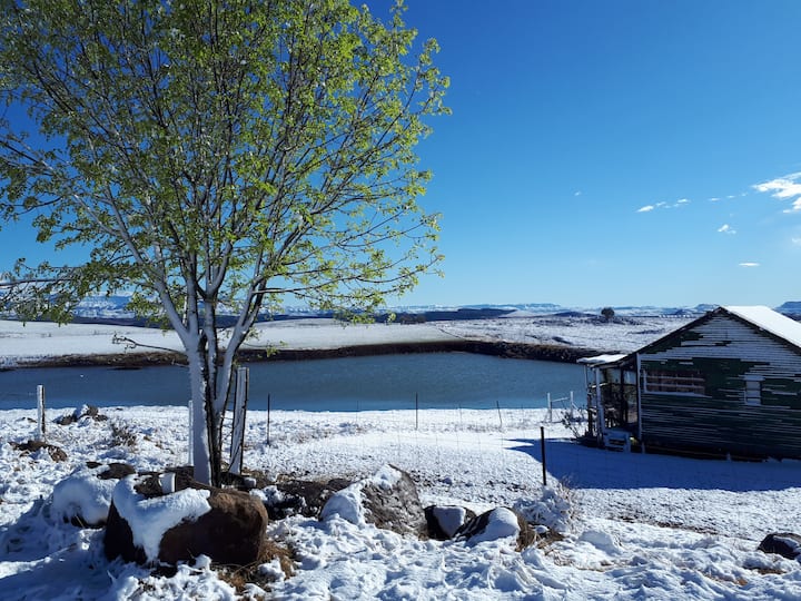 The Tin Shack - Underberg