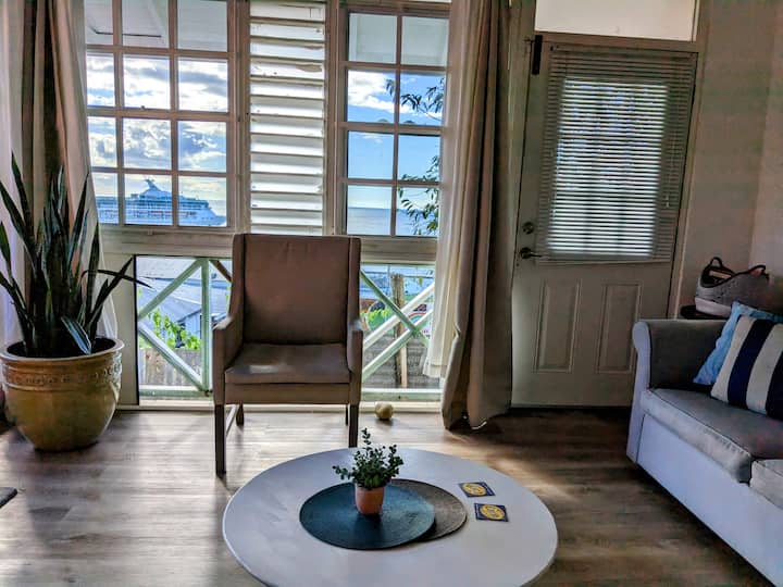 Oceanview In Downtown Saint George's - Grenada