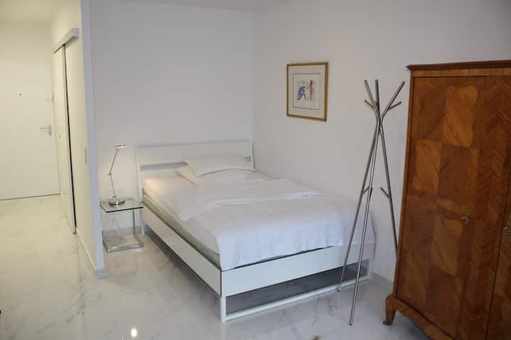 Appartement Am Saarbrücker Schloss - Saarbrücken