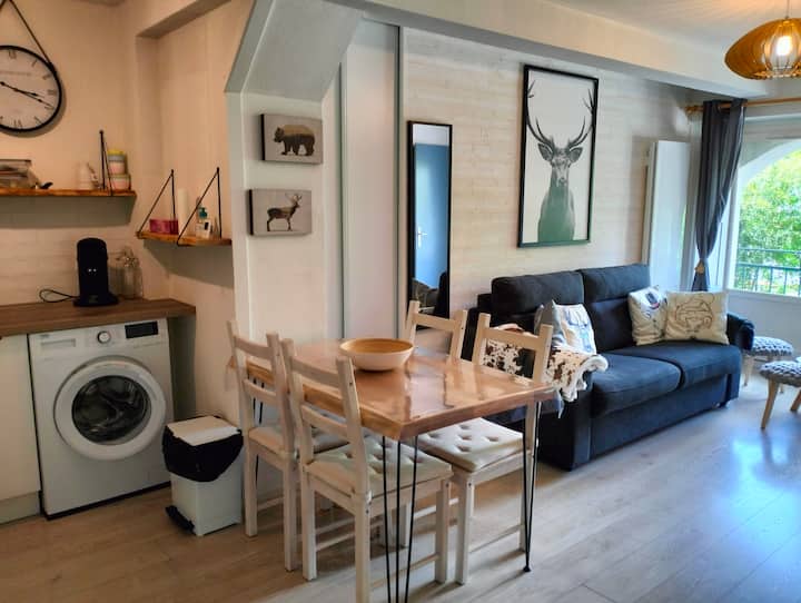 T2 Bis, 40m2, 50 M Des Thermes, Parking Privé - Bossòst