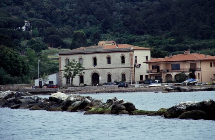 Appartamento Monolocale Glicine - Portoferraio