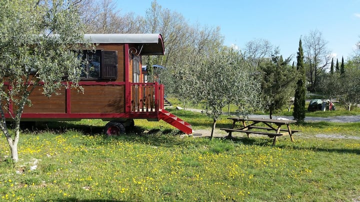 Roulotte Gîte 4/5 Pers à Vogüé - Balazuc