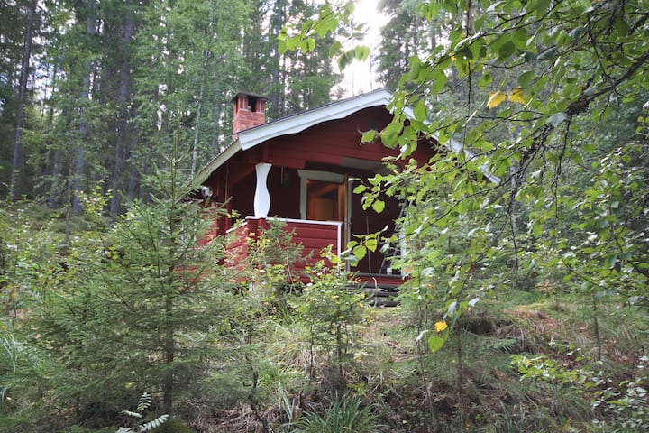 Stuga Für Zwei In Dalarna, Schweden (ÄLgstuga) - Älvdalen