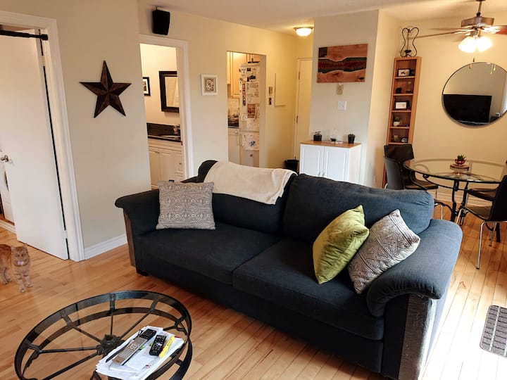 Trendy Hintonburg Condo With In House Cat - Ottawa