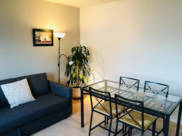 City Center Ocean View 1 Bedroom Walk To All - レイキャビク