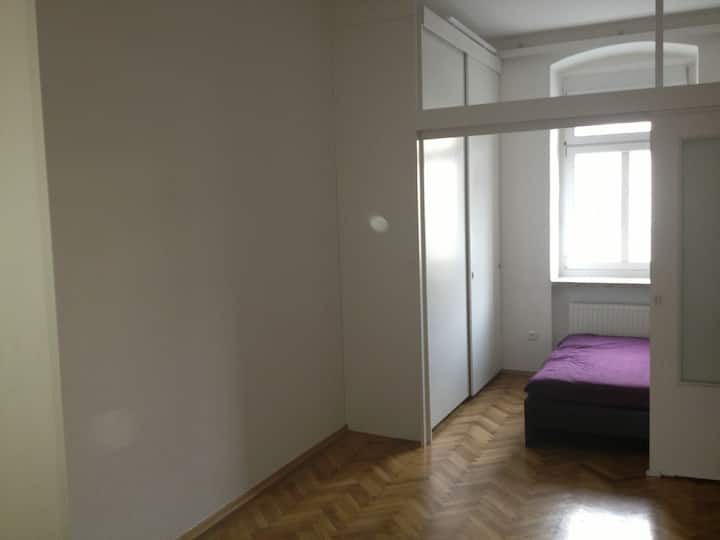 Liebevoll Saniertes 50m2 Ap. - Linz