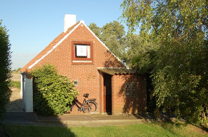 Het Marotje - Ferienhaus Am Meer - Cadzand