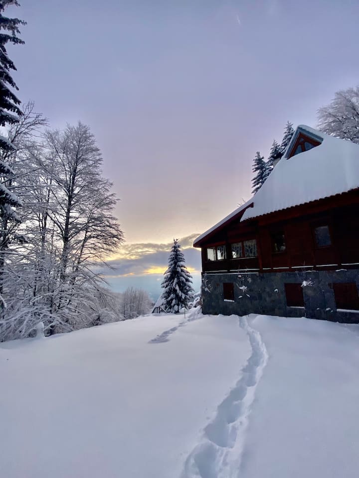 ŠEjn Kopaonik 2023 - Secluded Mountain Magic - Kopaonik