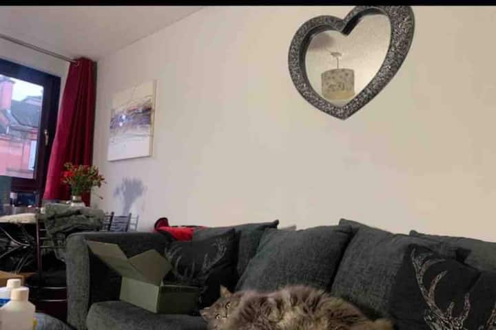 City Centre Double Room Available In Modern Flat. - Glasgow