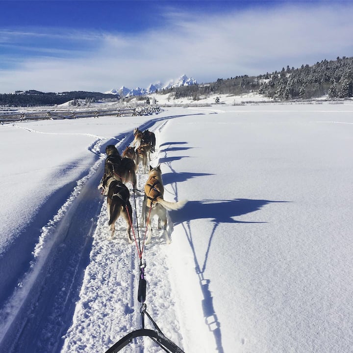 Emma Matilda Lake, WY All Lodging and Accommodation | cozycozy