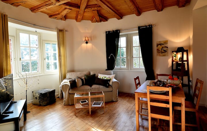 La Tourelle - Joli Repaire En Forêt - Ribeauvillé