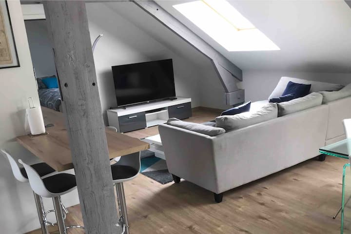 Très Bel Appartement Climatisé Proche Hyper Centre - Cher