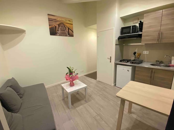 Le Puy En Velay : Studio Plein Centre Ville - Le Puy-en-Velay