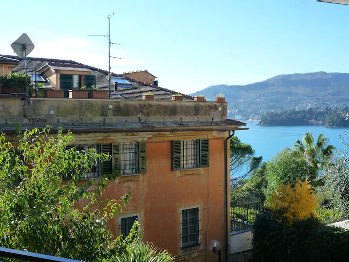 Elegante Appartamento Con Piscina - Portofino