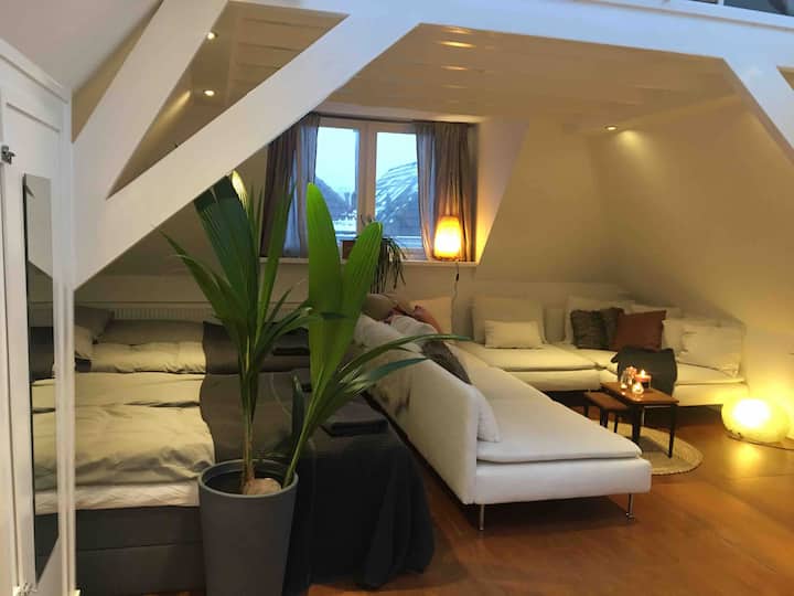 City Lodge Penthouse - Arnhem