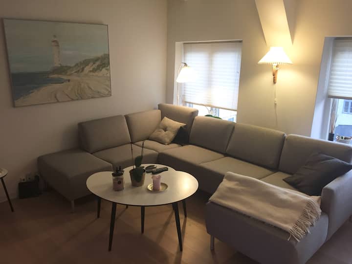 Big Penthouse Located In Cph City By "Strøget" - Copenaghen