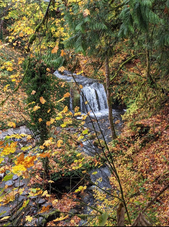 •Cozy Pnw Getaway • Sleeps 8• - Tiger Mountain, Issaquah