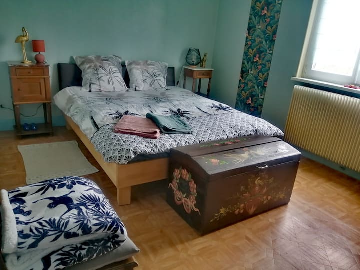 Chambre Individuelle Dans Propriété Partagée - Strasbourg