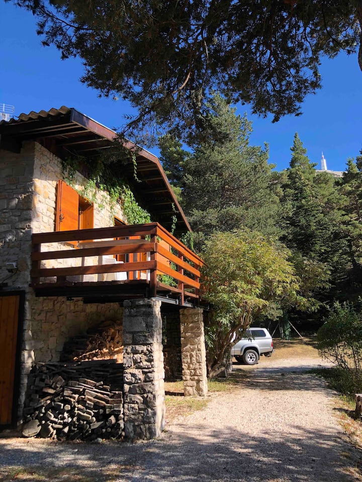 Chalet En Pleine Nature - Mont Serein