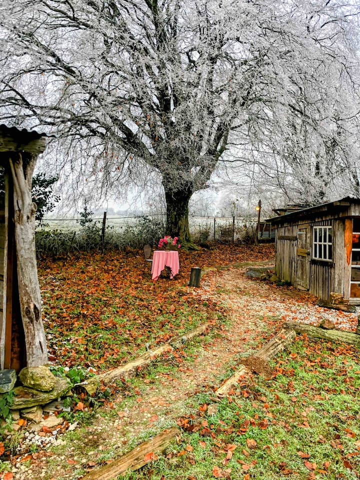 Prive Paradis| Feu De Camp & Nuits éToilées - Ardennes