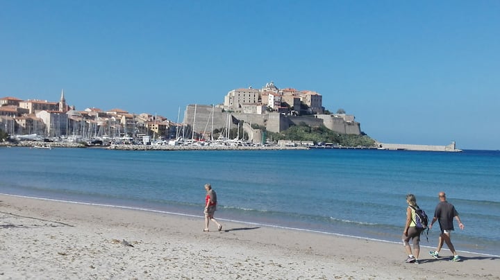 Les Eucalyptus - Calvi
