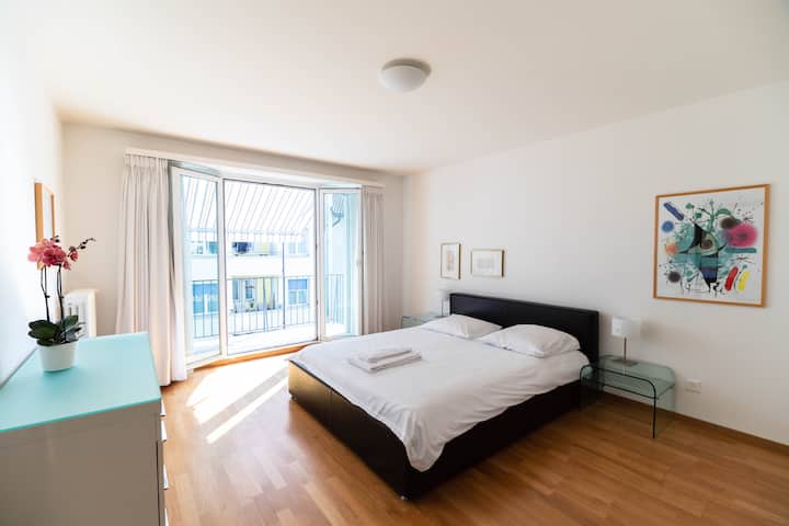 2 Br Apartment Near The Lake / City Center (D2) - Zürich