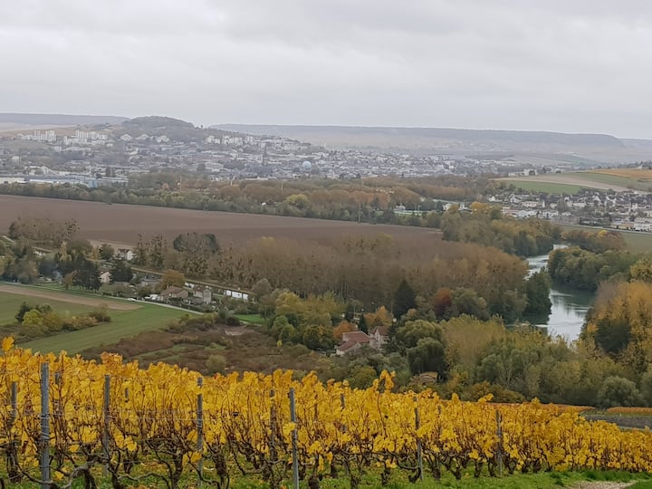 L’écluse: Gite Familial Au Cœur De La Champagne - Marne