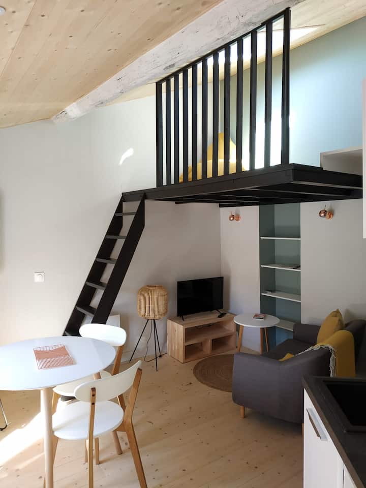 Cocoon - Studio Marché - La Rochelle