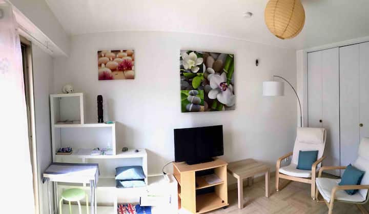 Studio 2* Climatisé, Très Calme, Avec Sa Cuisine. - Nice Côte d'Azur Airport (NCE)