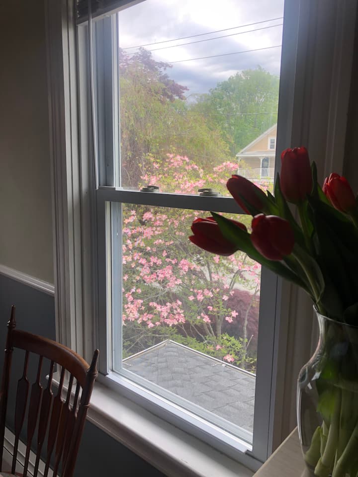 Sunny Room Good Vibes Getaway Wifi Parking #2 Fl2 - Rhode Island