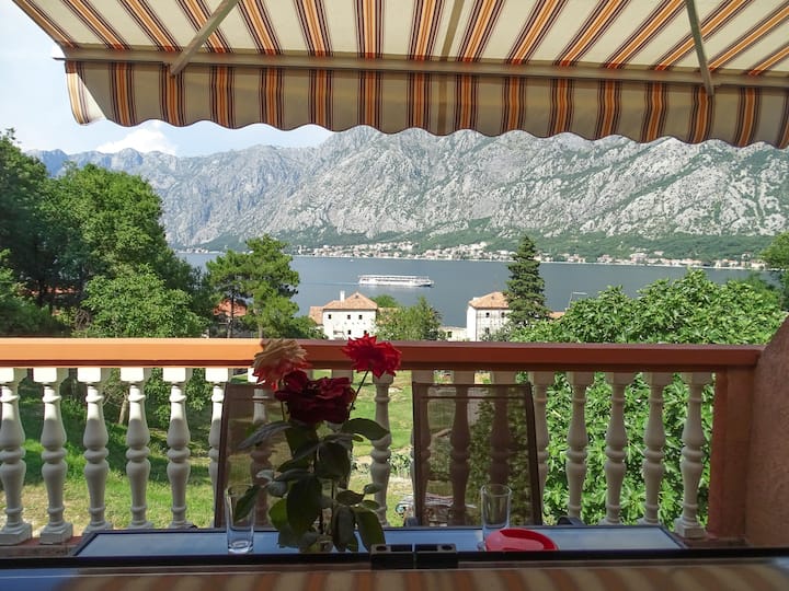 Apartment Bis 1 - Kotor