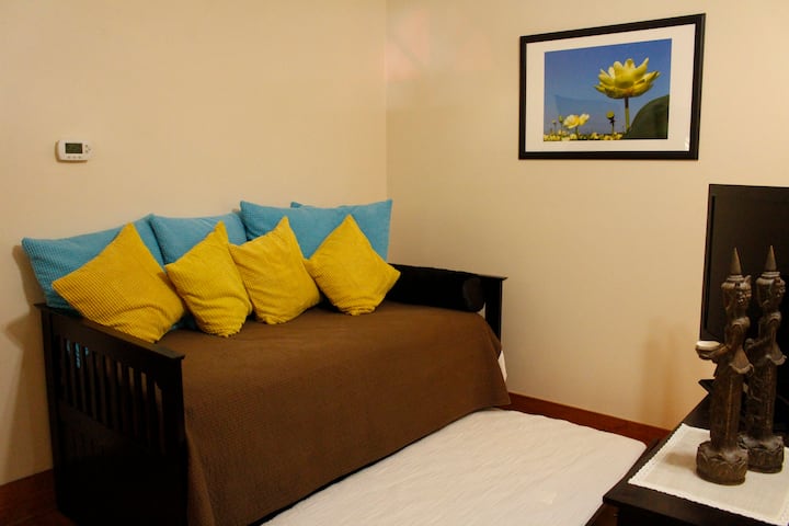 Charming Studio Apt Near Downtown - Gainesville