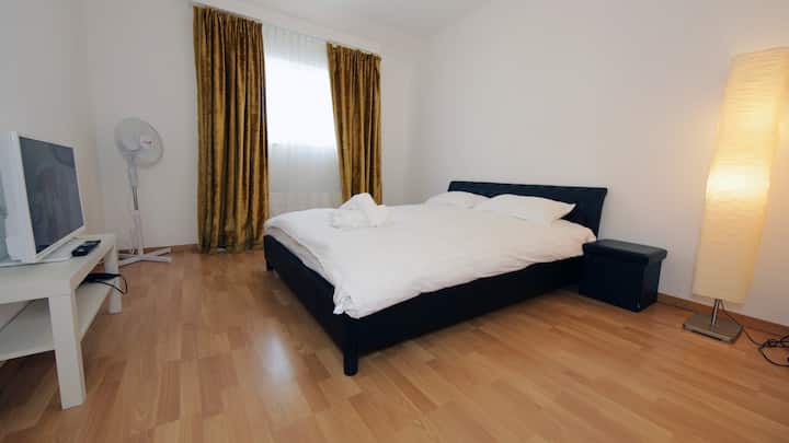 Studio Central Près Du Gara Cornavin Et Lac - Geneva