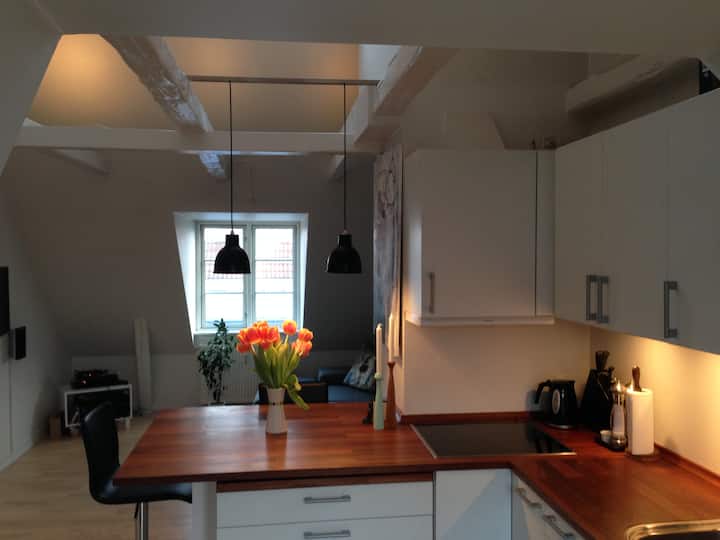 3 Room Penthouse Loft -  Centrally Copenhagen - Copenhague