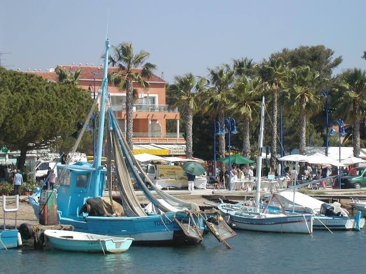 Pieds Dans L Eau,  6 P, Clim, Wifi Fibre,390 Park - Giens