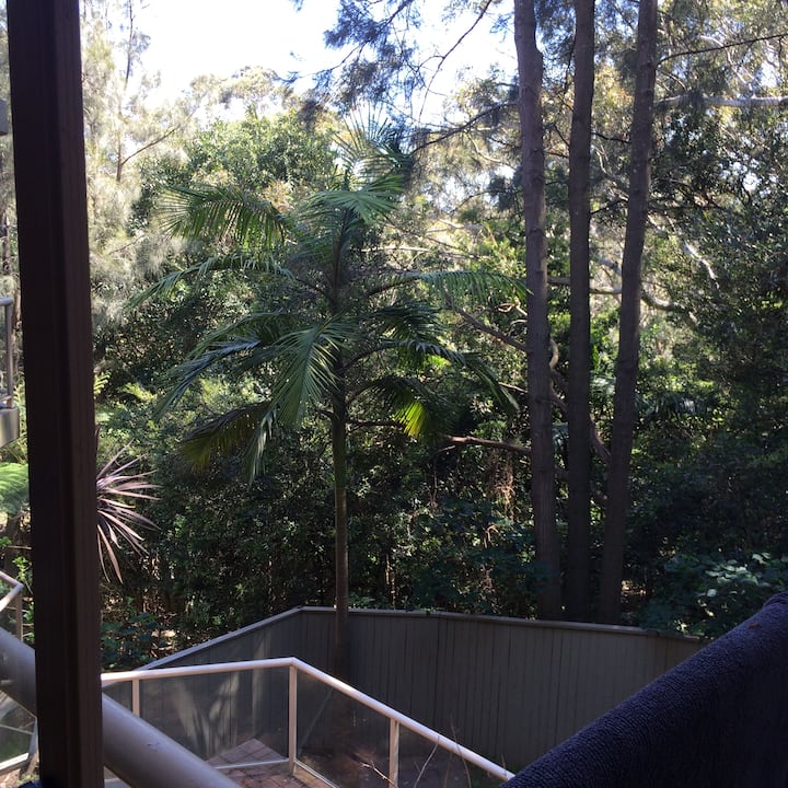 Spacious And Beautifully Presented Apartment. - Manly