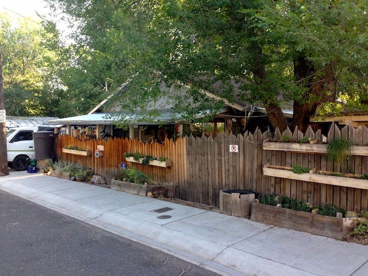The Local Experience - Flagstaff, AZ
