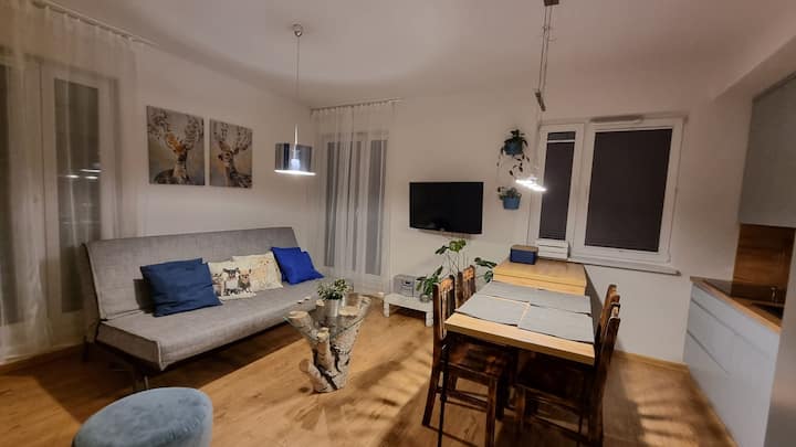 Chihuahua_apartaments - John Paul II Kraków-Balice Airport (KRK)