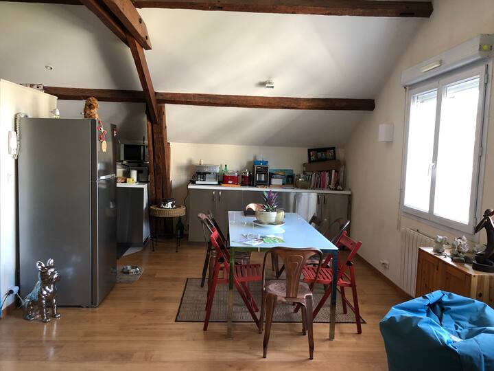 T4 Mansardé De 100m2 à 8 Mn Des Plages - Anglet