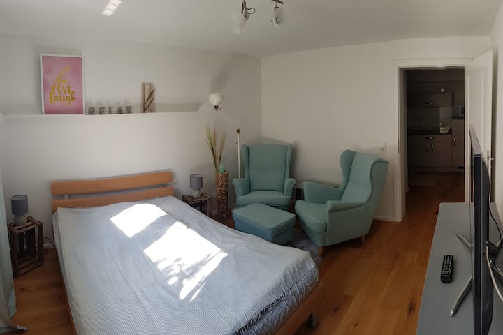 Schlosspark-appartement Direkt Am Rhein - Wiesbaden