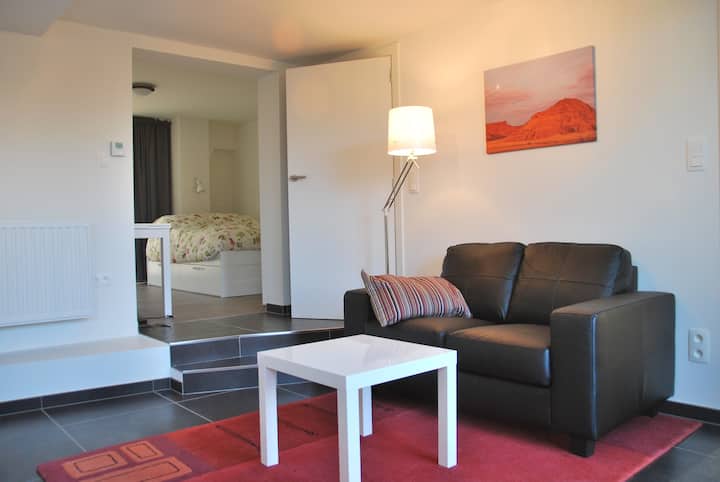 Newly Renovated Studio - Lovaina